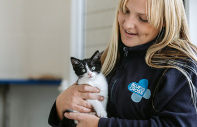 Blue Cross unveils new three-year strategy with digital emphasis