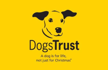 Dogs Trust income hits £111m after rise in legacy income