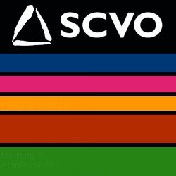 Scottish Council for Voluntary Organisations launches its review into ...