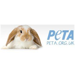 Controversial campaign puts Peta top of the social media chart