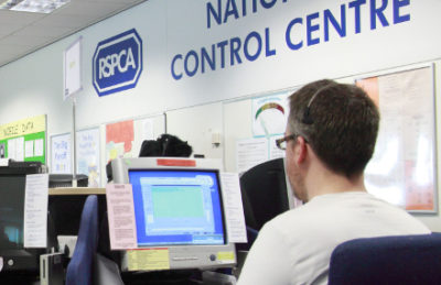 RSPCA complains to Ofcom after being target of ‘fake phone number scams’
