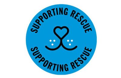 Campaign: Wear Blue for Rescue