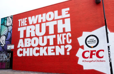 Case study: World Animal Protection's campaign against KFC