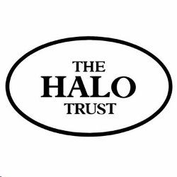 Trustees were paid to review the Halo Trust following CEO's suspension