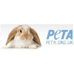 Controversial campaign puts Peta top of the social media chart